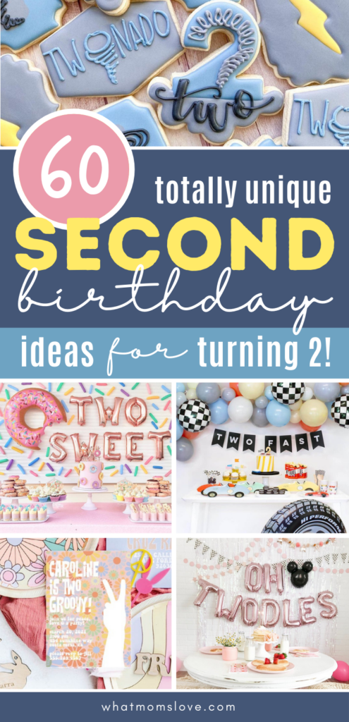 Unique 2nd Birthday Themes. 60 Creative Ideas For Your 2-Year-Old’s ...